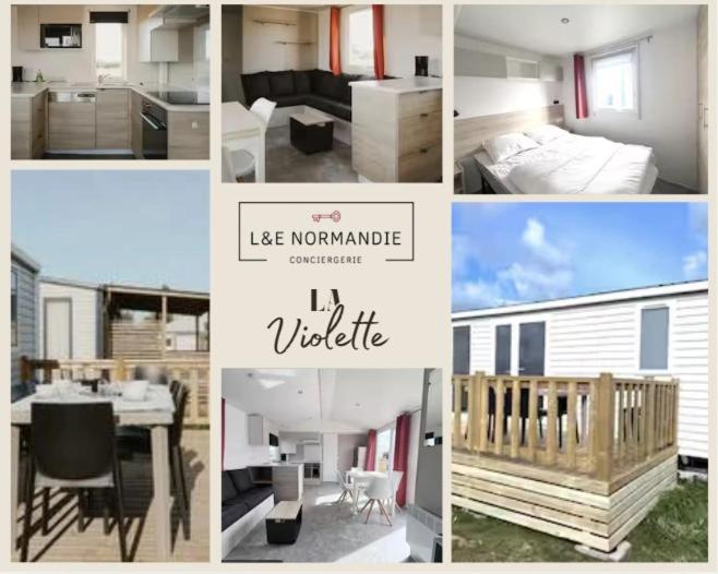 La Violette - Cotentin