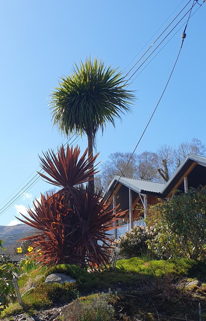 Carrick Chalets - Lochgoilhead