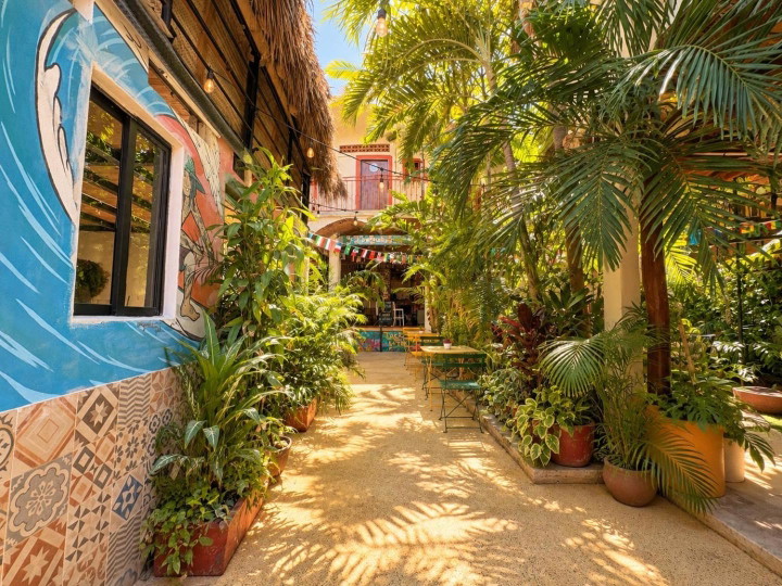 La Redonda Surf Hostel Sayulita - Sayulita