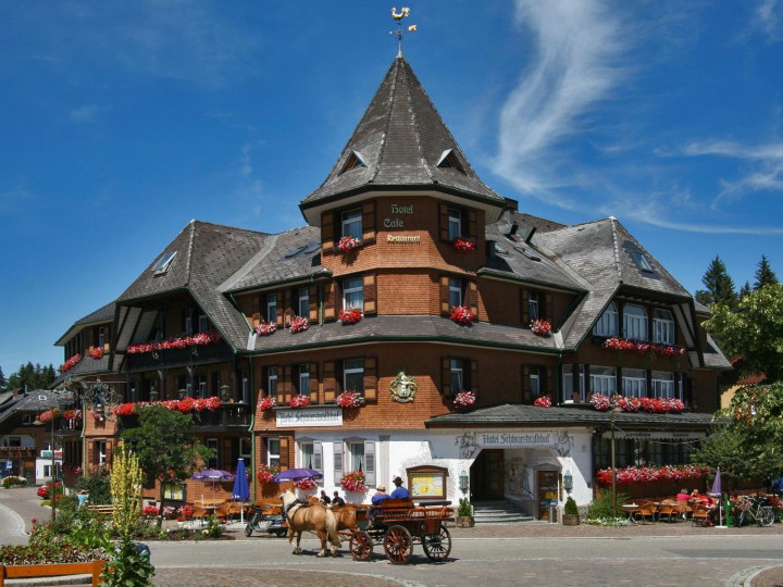 Hotel Schwarzwaldhof - Titisee-Neustadt