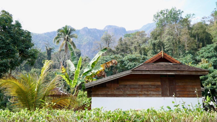 Lanna House บ้านลานนา เชียงดาว - 
