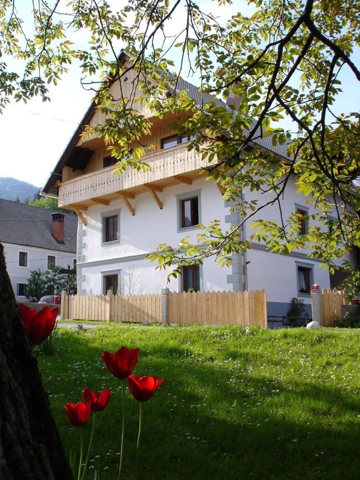 Ana Antloga Apartments - Bled