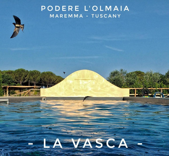 Podere L'olmaia - Magliano in Toscana