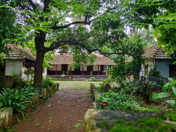 Meadows - Kerala