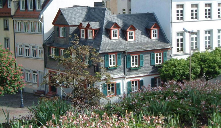 Appartement Kirschgarten Mainz Rochusstraße - Mainz
