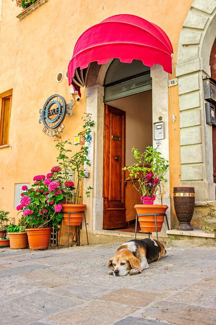 Meublè Evoè - Montepulciano