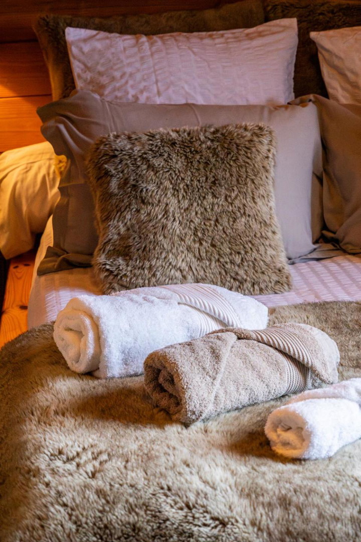 Chambres Et Table D'hôtes Au Chalet Datcha - Briançon