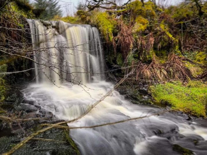 Glenariff Forest Getaway - Scotland
