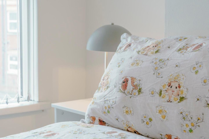 Cosy And Central Belfast Home With Parking - Belfast
