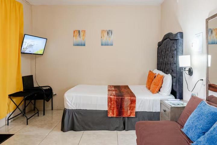 Mona Studio Suite - Jamaica