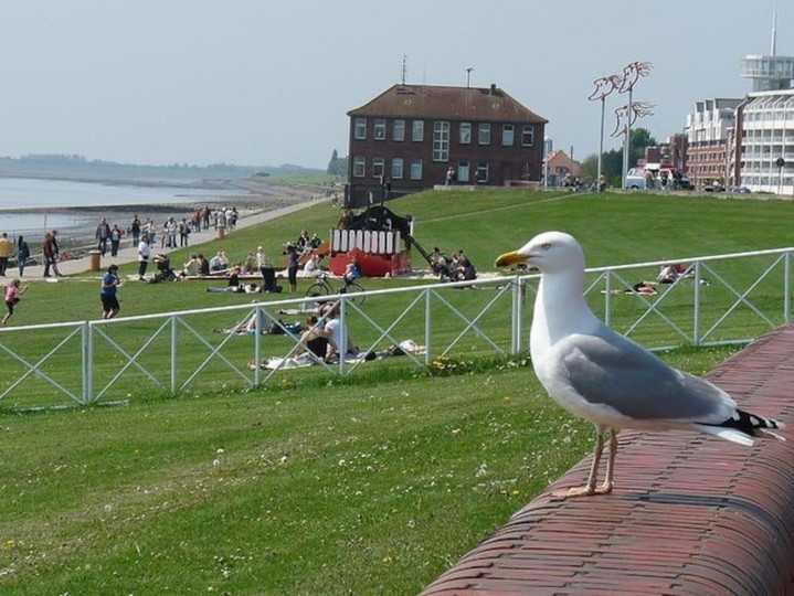 Luxus Kapitänswohnung 'Helgoland-avantgarde' - Wilhelmshaven