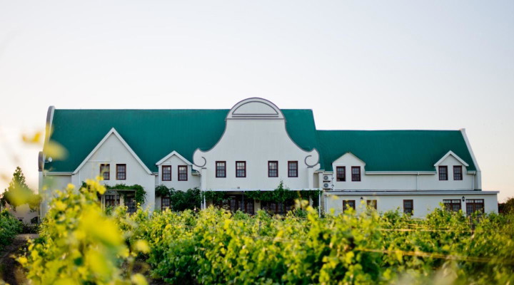 Cana Vineyard Guesthouse - Paarl