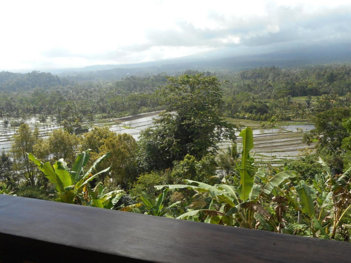Villa Dukuh - Bali