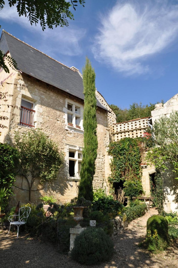 Le Carroy Brion - Chinon