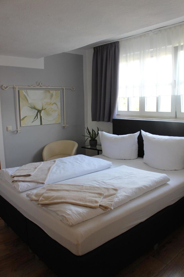 Hotel Wolke - Meiningen
