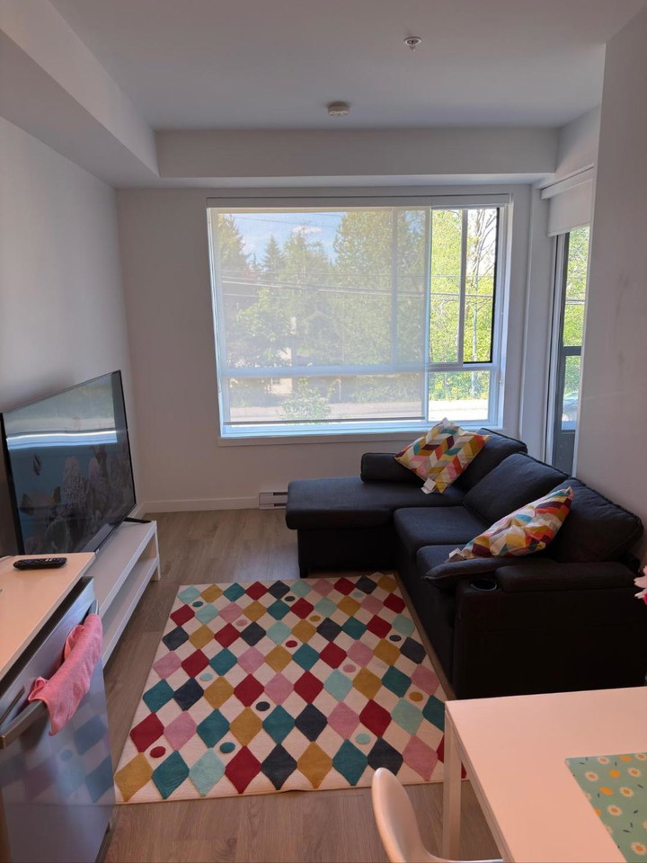 Downtown Luxury Suite - 新西敏