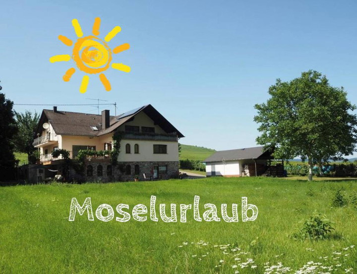 Landhaus Sonneninsel - Appartement - Piesport