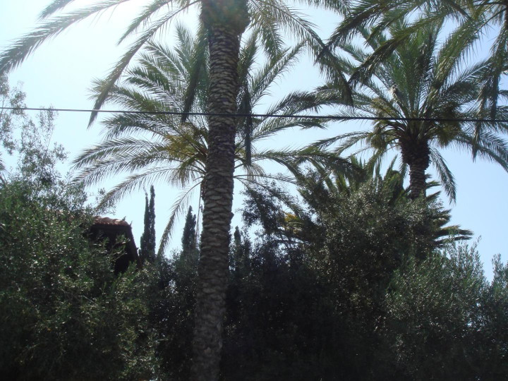 Lisa's Farm Place - Israel
