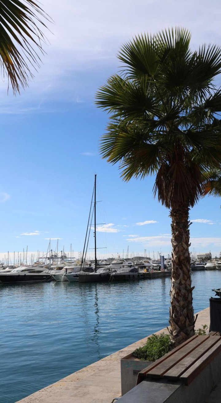 Alicantan Vital Experience - Alicante