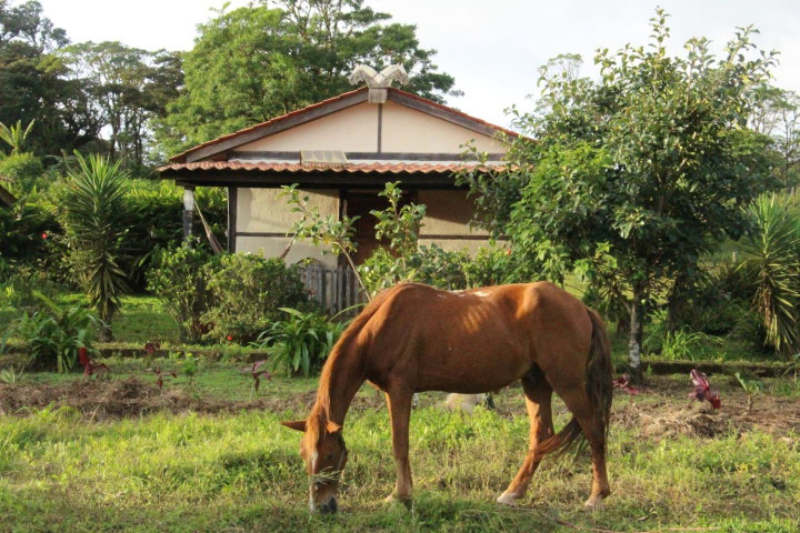 Finca Lindos Ojos - Nicaragua