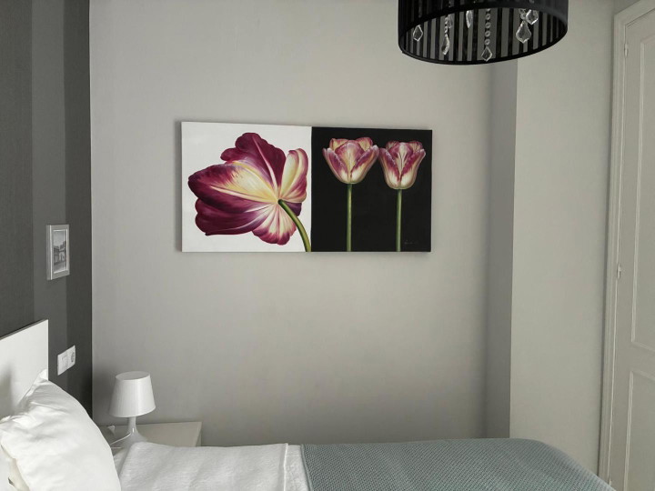 Apartamento Castillo San Marcos - Puerto Real