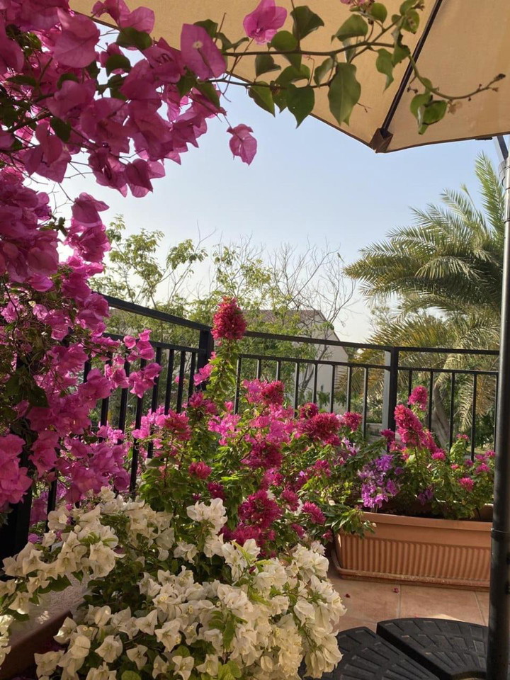 Cherrywood House - Dubai