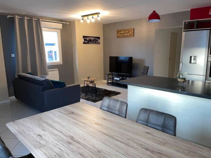 Appartement Plein Centre Ville St Dié Des Vosges - Lorraine