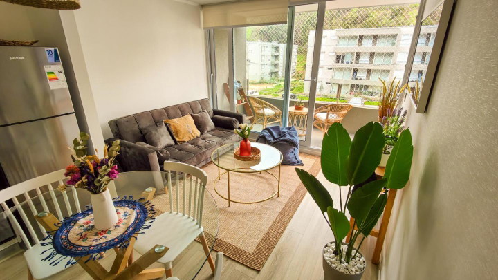 Departamento Punta Puyai Próximo Al Mar - Zapallar