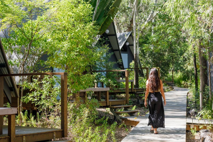 Bounce Magnetic Island And Koala Park - Queensland