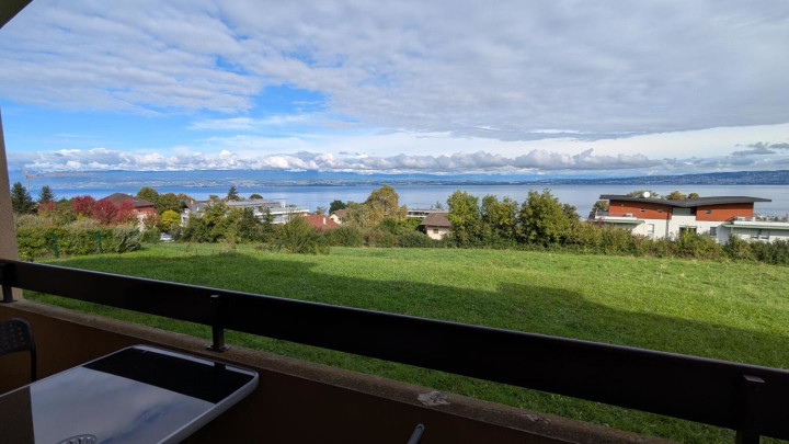 Le Panoramic Evian - Morges