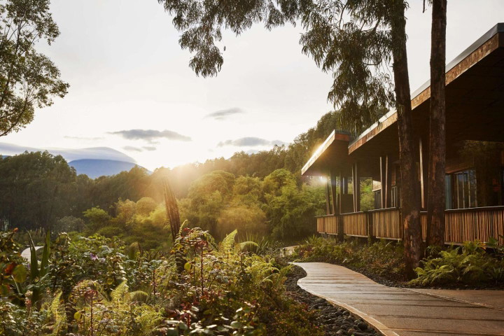 One&only Gorilla's Nest - Rwanda
