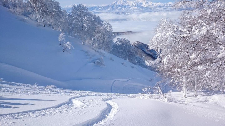 Nozawa Dream Central - Nozawa Onsen