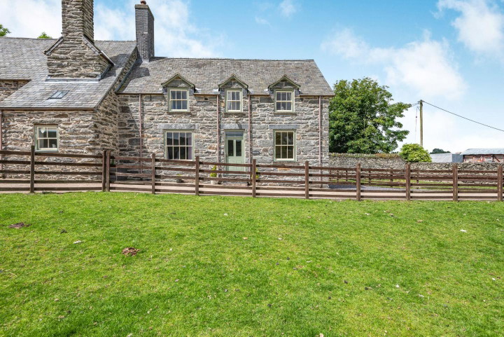 Waedog Bach - North Wales