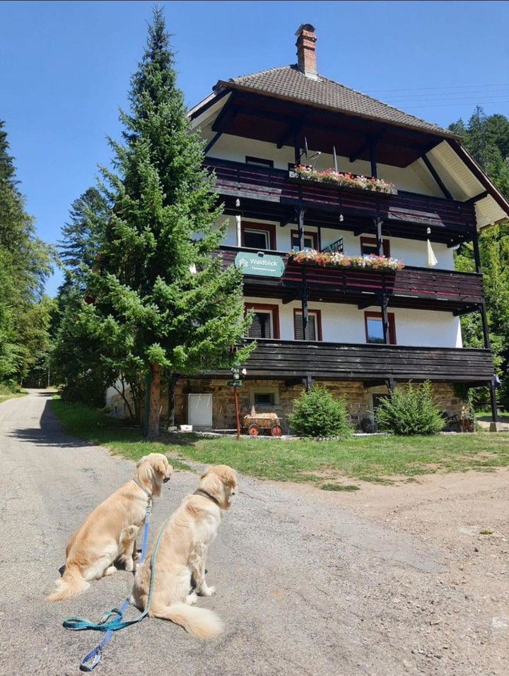 Waldblick Ferienwohnungen - Selva Negra