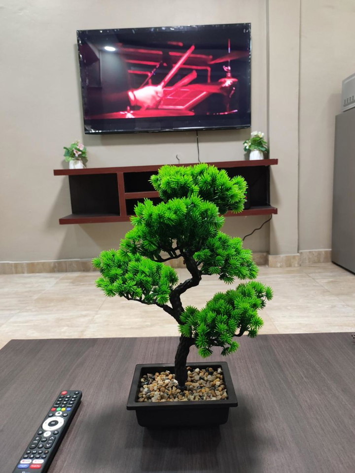 Your Lovely One Bedroom Apartment - Monrovia