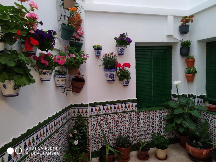 Alicante-rental Alojamientos Turisticos Culturas Y Colores En Almagro -Parking -Promocion Empresas- - Almagro