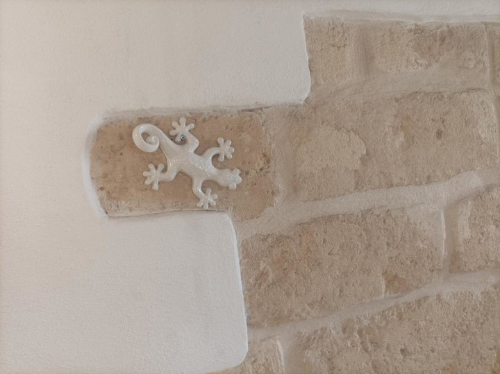 Casa Vacanze Il Geco - Trani
