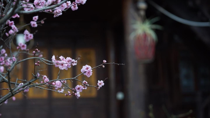 Tuo Tuo Guest House - Lijiang