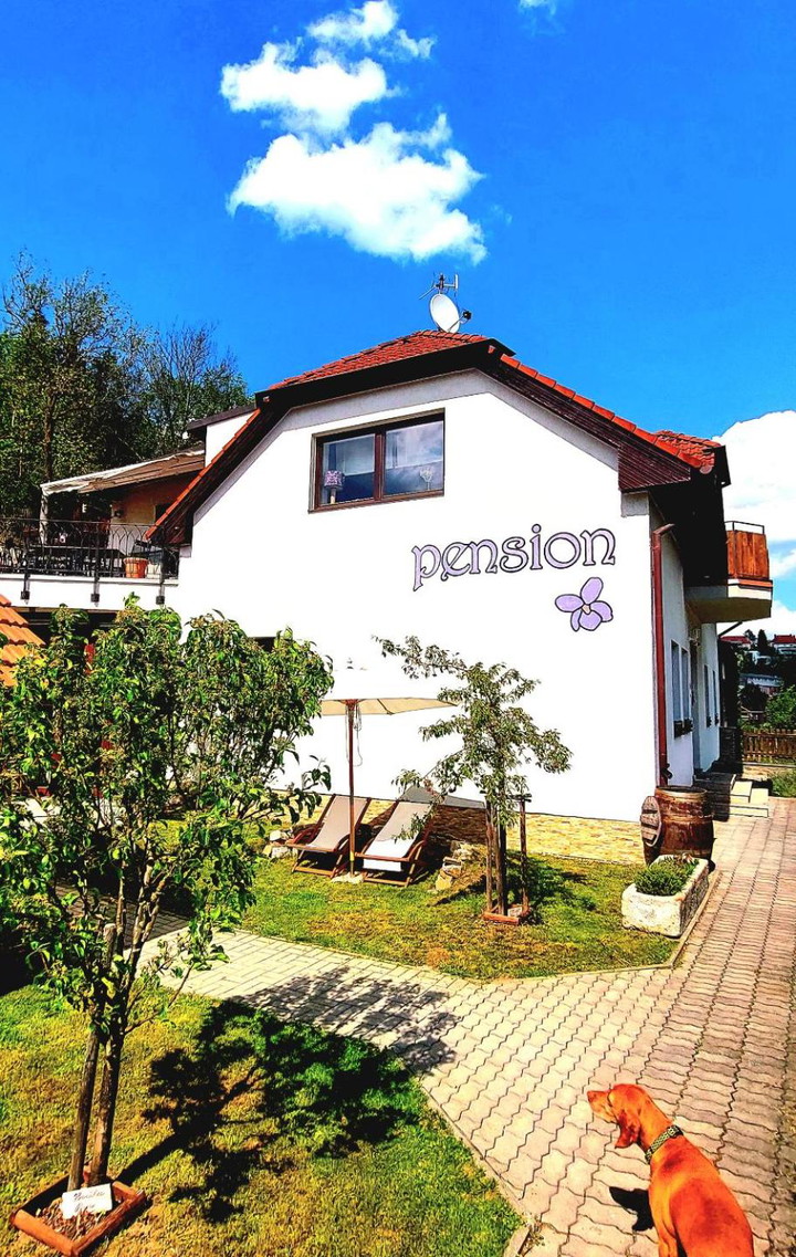 Pension Fialka - Český Krumlov