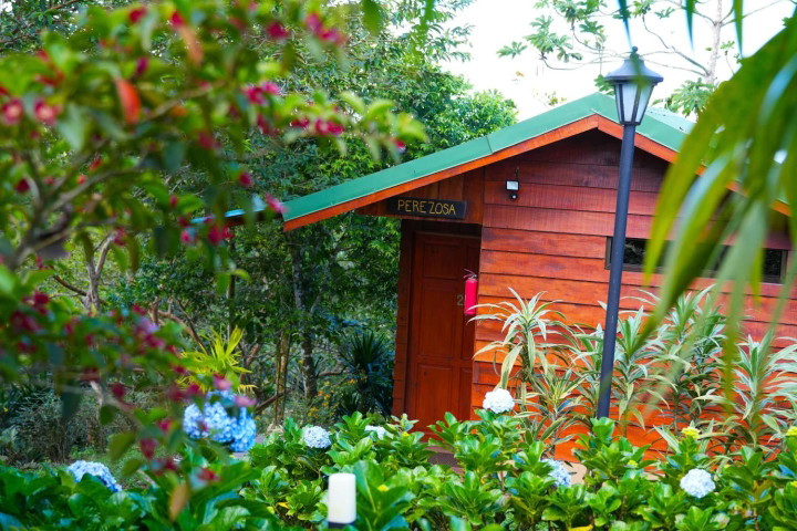 Eco Granja Don Lolo - Quesada