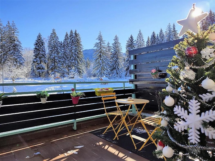 The Evergreen Nest - Silver Mountain - Brașov