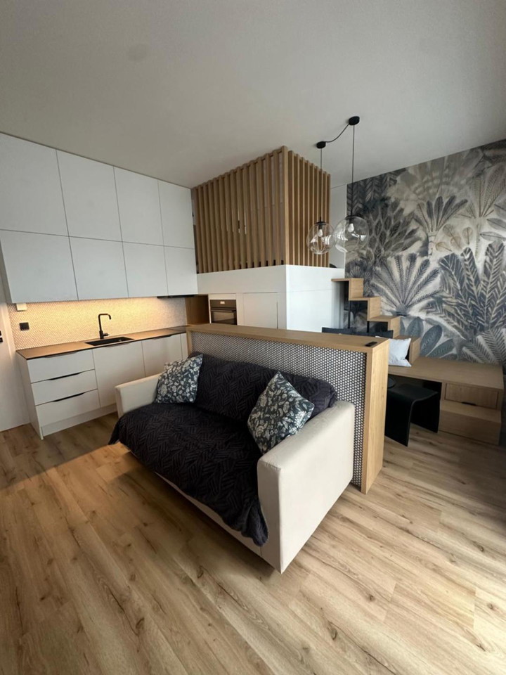 Apartment Vaňkovka - ブルノ