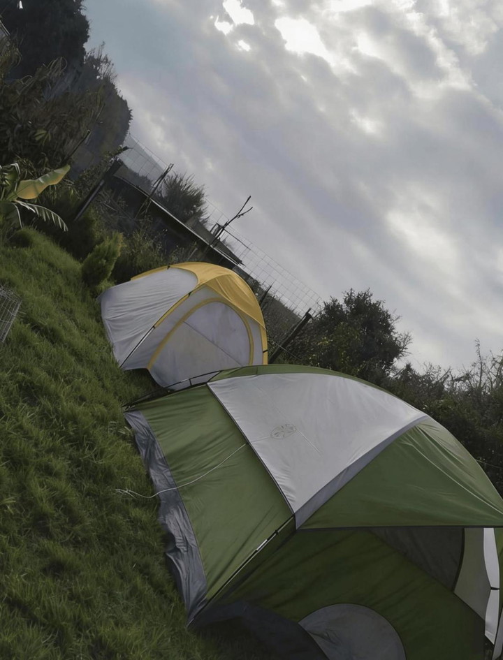 Campingleoncyn - Morelos