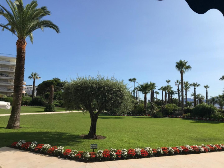 Appartement Cannes Sur Croisette - Grasse
