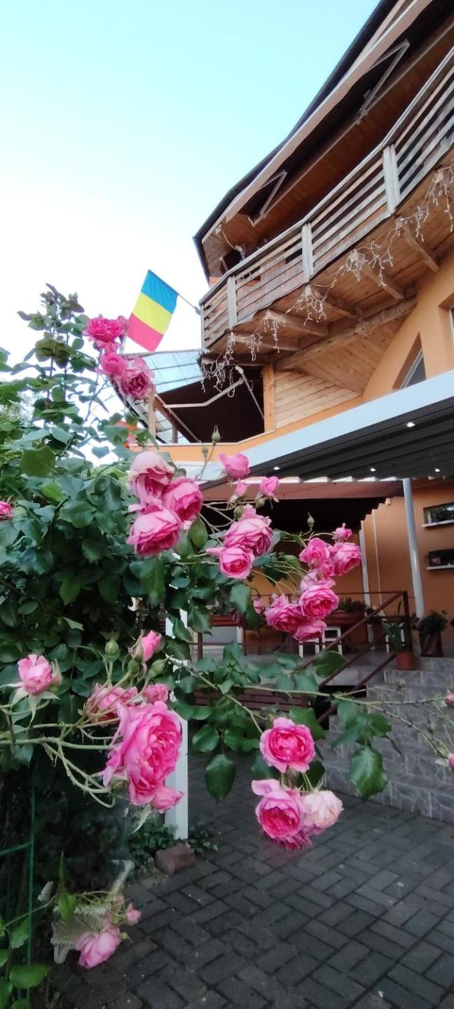 Casa Tudor Turda - Turda