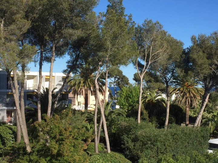 Les Anthemis- Bord De Mer - Agay