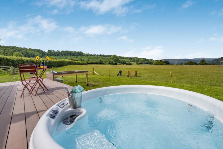 The Owl At Nest And Loaf - Abergavenny