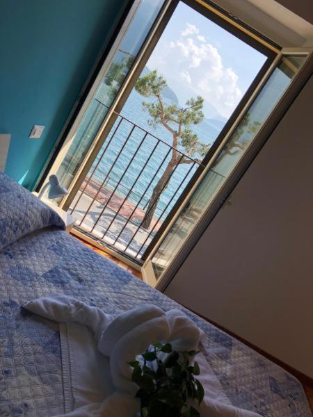 Hotel Mojito - Cólico