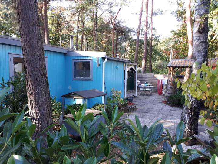 Boshuis Turquoise / Smaakvol Genieten Op De Veluwe - Netherlands