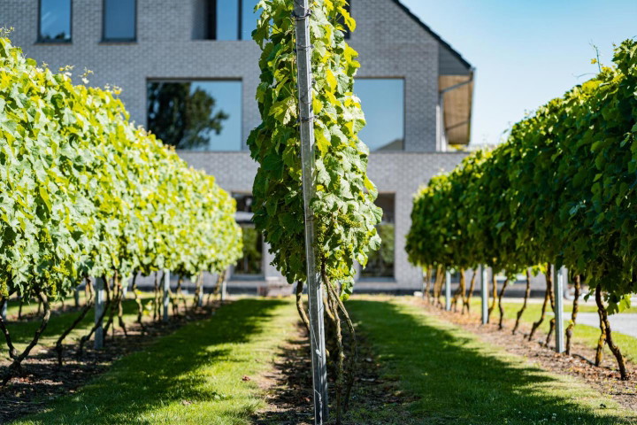 Abalona Hotel & Apartments - Dendermonde